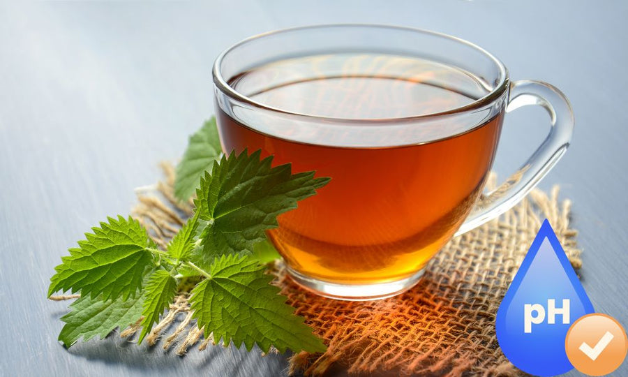 Is Green Tea Acidic or Alkaline? Benefits for Acid Reflux – Care